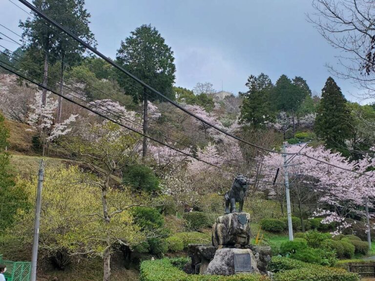 20230326_151341 | メディア | すみか工房 一級建築士事務所（福岡県那珂川市）